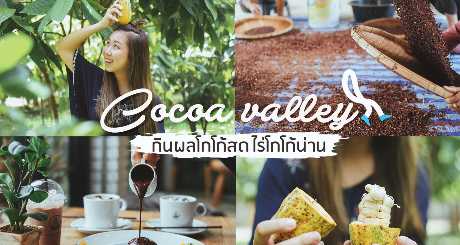 สาวกช็อคโกแลตไม่ควรพลาด ไป Cocoa Valley กัน - Makalius.co.th