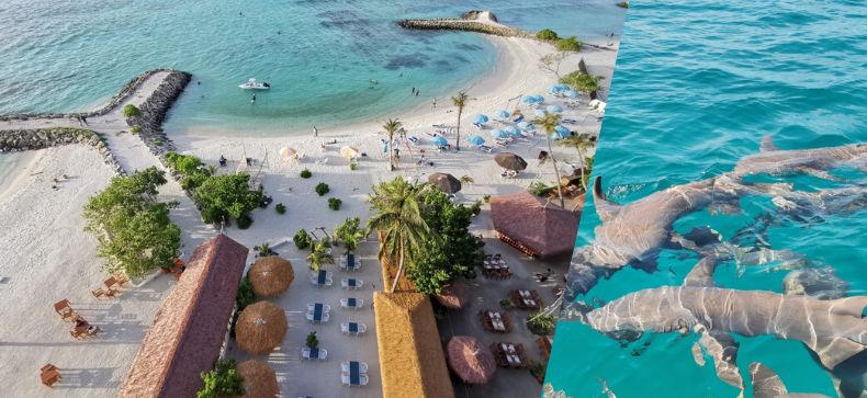 Kaani Palm Beach Maldives At Maafushi | High Season | ราคาสุดคุ้ม ...